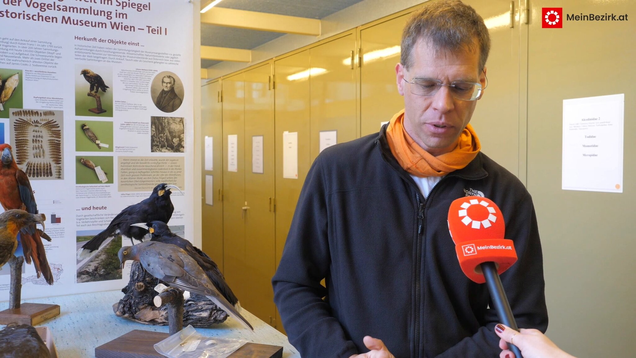 Harrison Institute: 19.000 Vögel landen im Naturhistorischen Museum ...