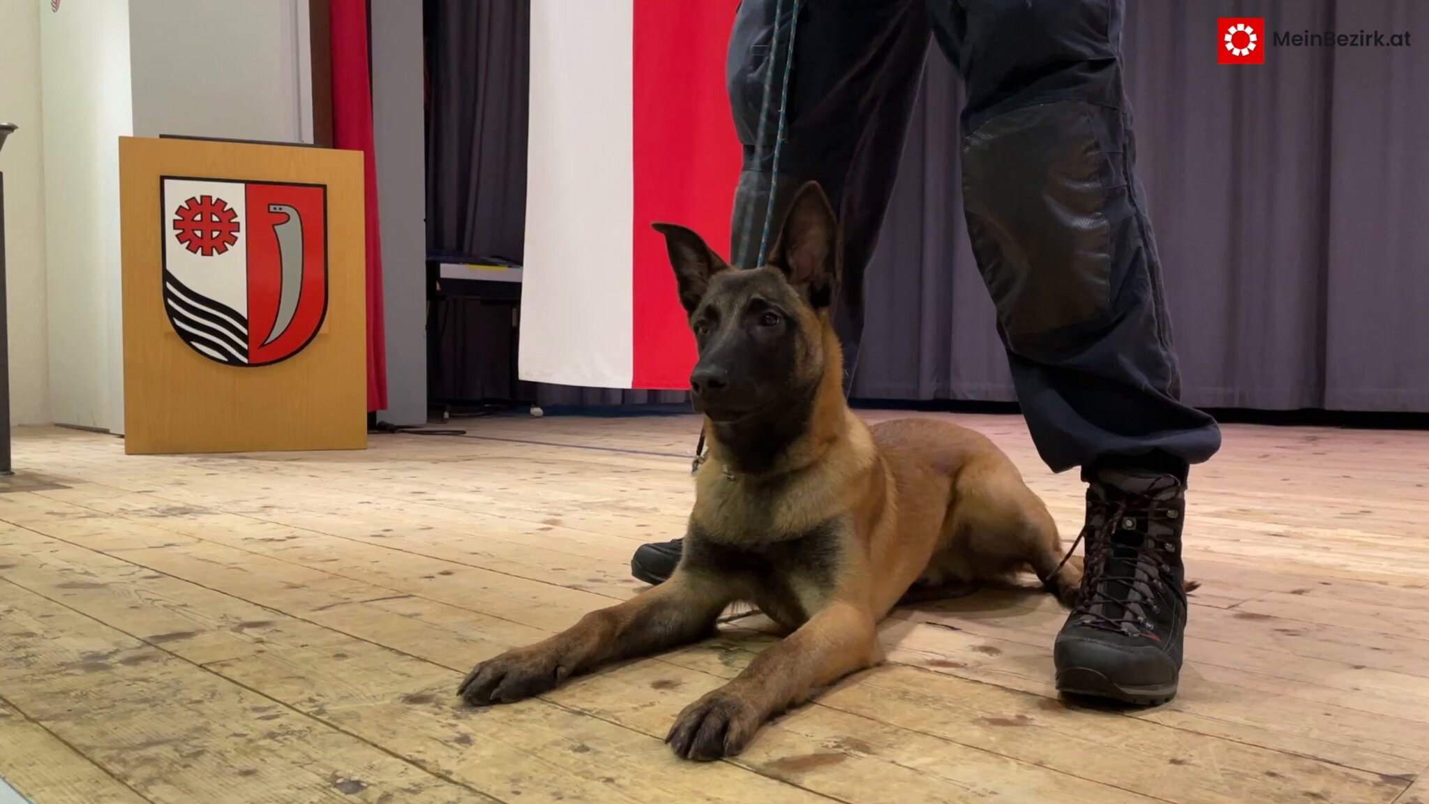 Polizeihunde: Schutzengel auf vier Pfoten - Innsbruck