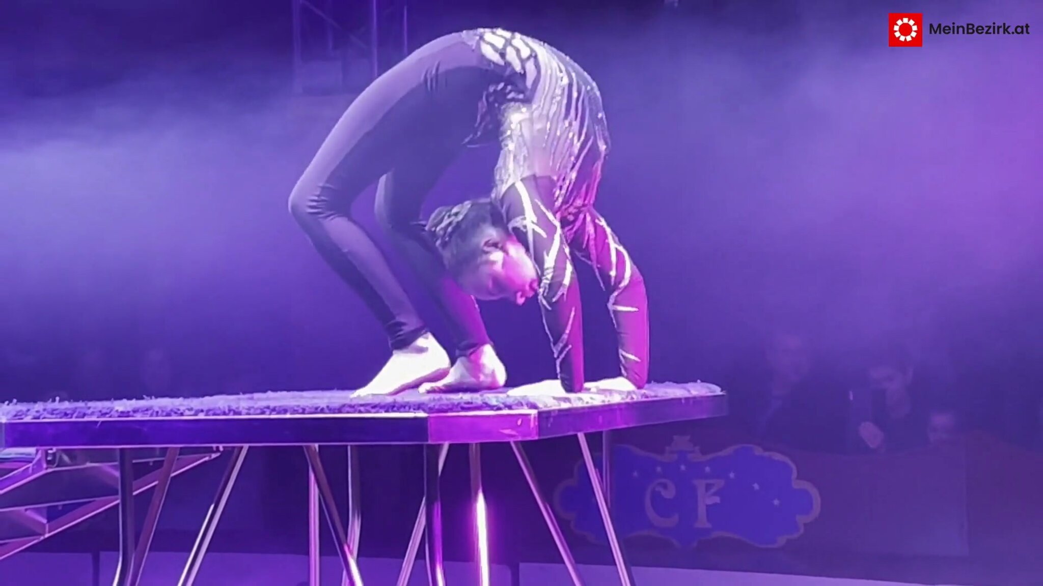 Oberwart: Circus Frankello bot tolle Artisten, Tiere und Attraktionen ...