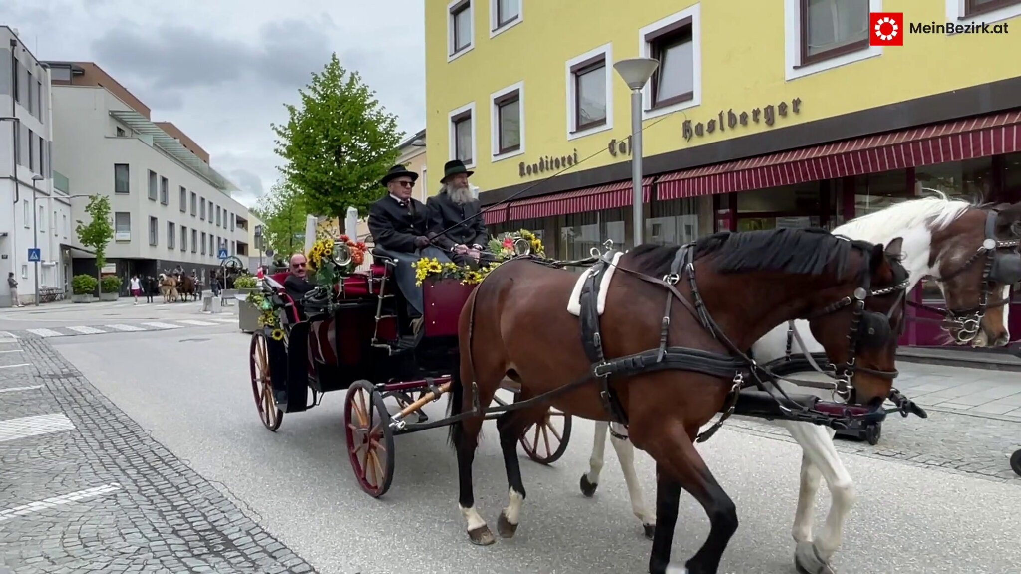 Pferdemarkt Grieskirchen: Bildergalerie: Besucher freuten sich über ...