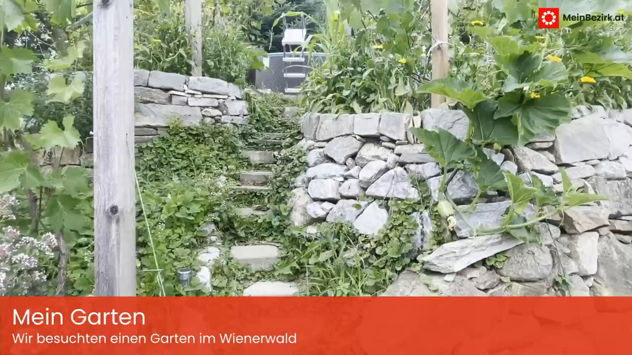 "Mein Garten": Die schönsten Gärten des Wienerwaldes - Wienerwald ...