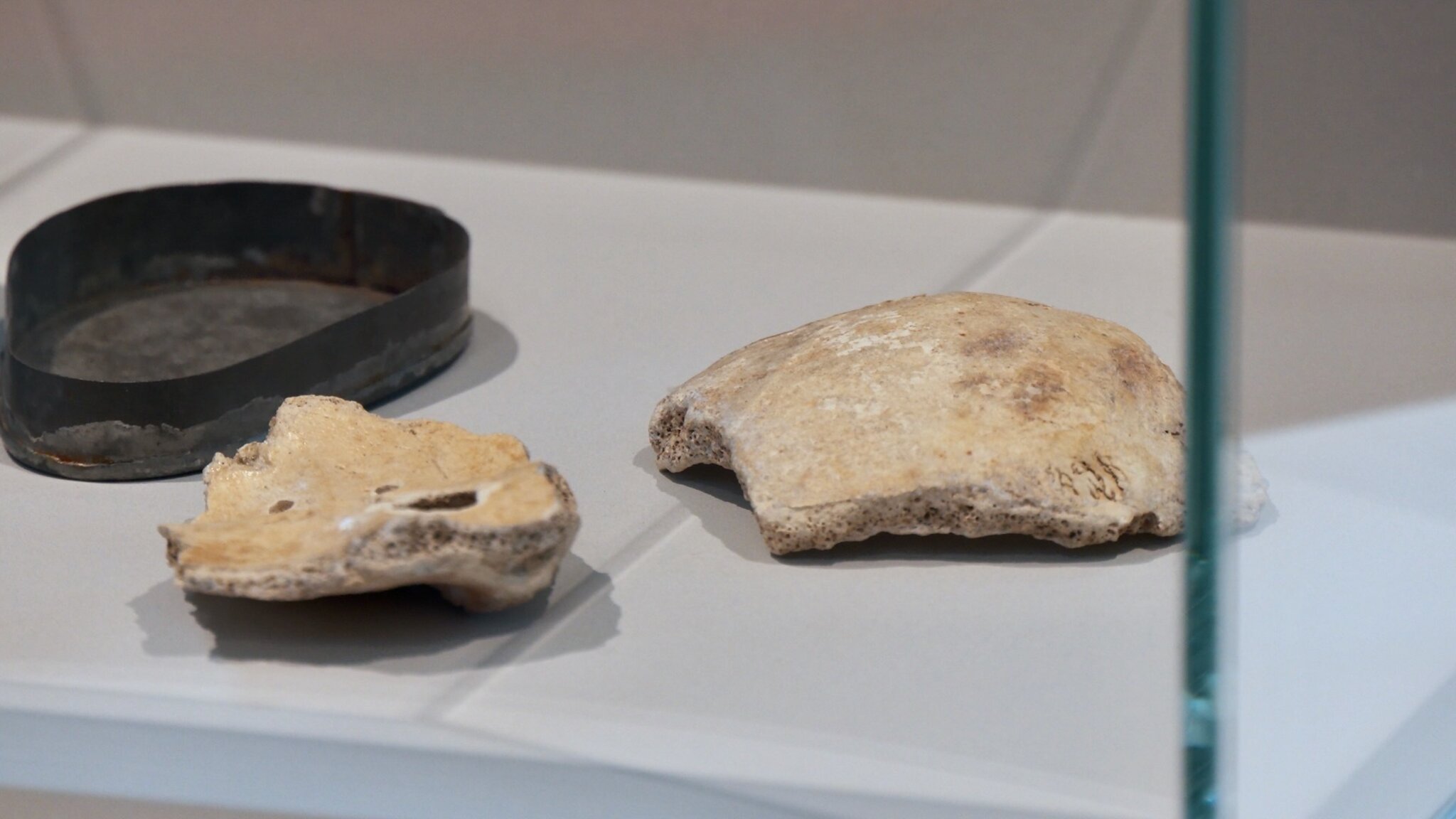 Seligmann-Fragmente: Überreste von Beethoven an Josephinum übergeben ...