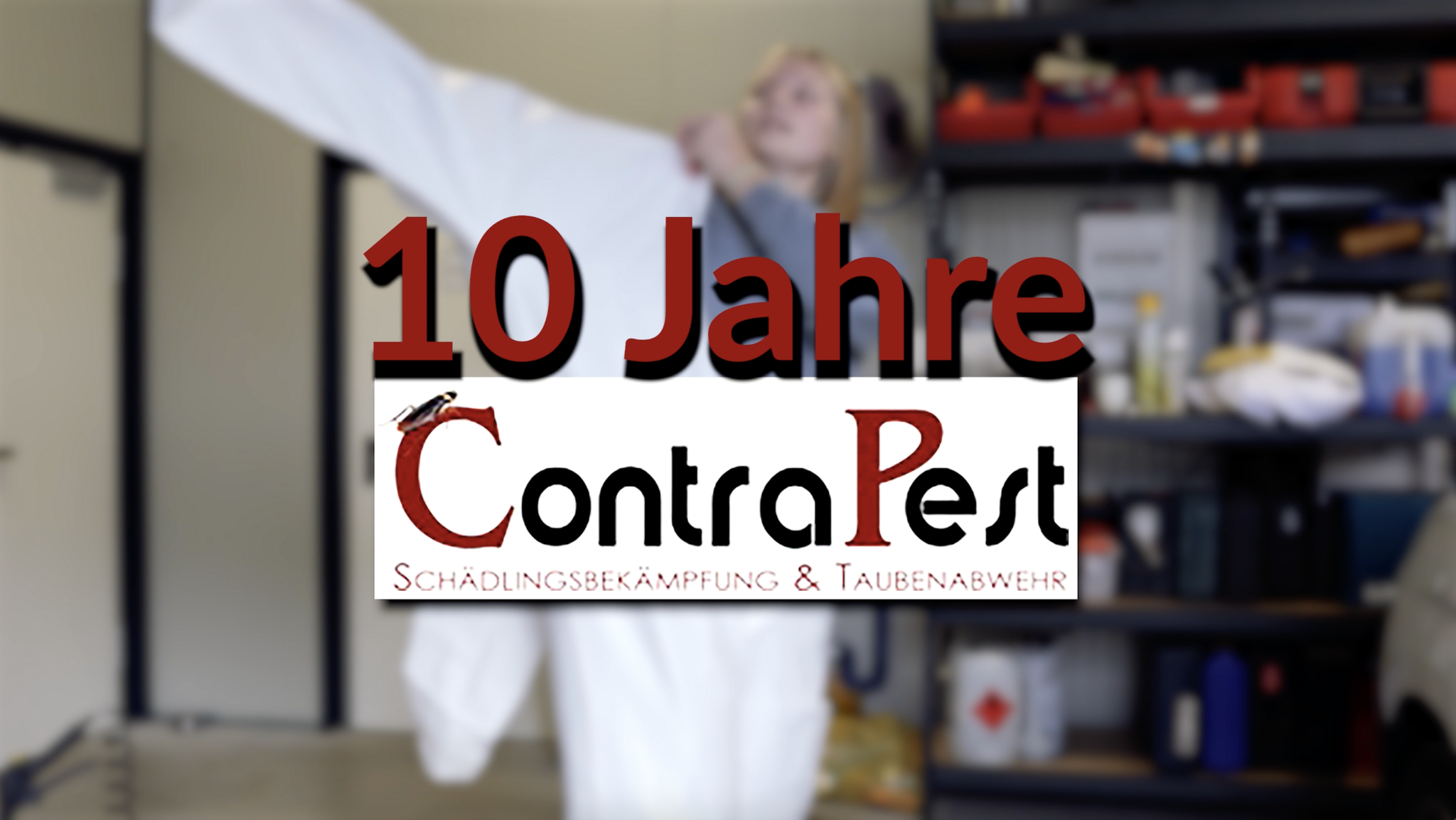 Villach Land: Die Firma ContraPest hat Grund zu feiern - Villach Land