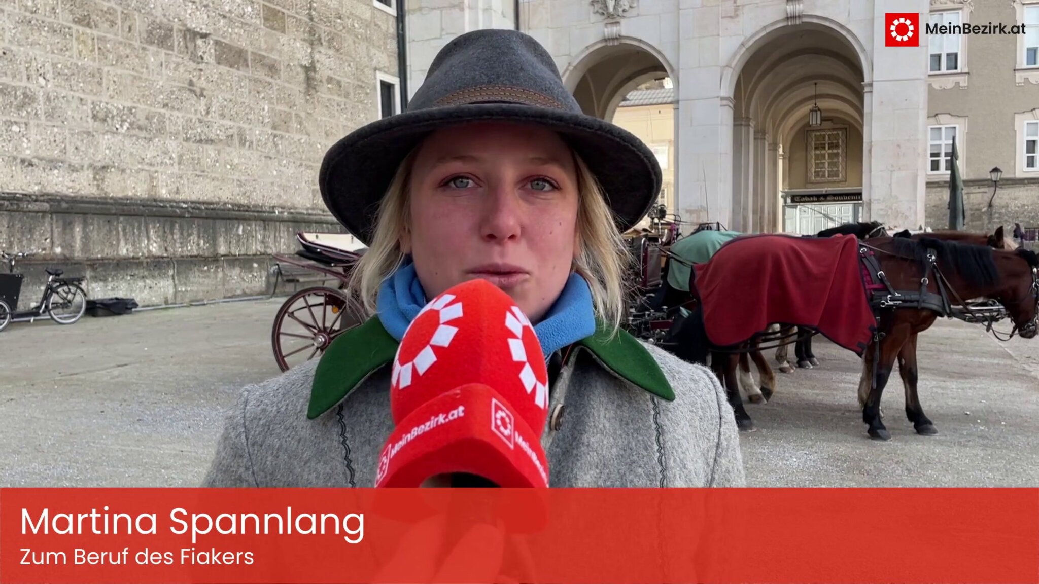 Über Pferde und Kutschen: Wie wird man eigentlich Fiaker? - Salzburg-Stadt