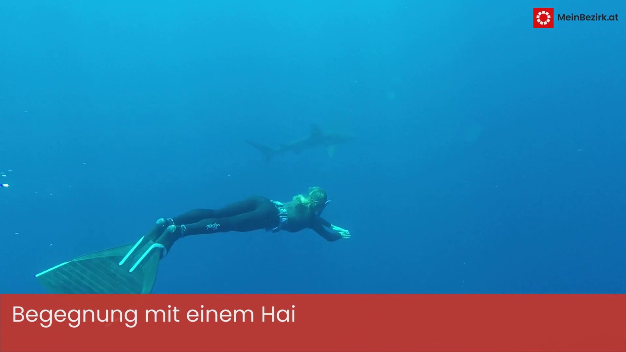 Christin Gerstorfer:: Die mit den Haien taucht - Baden