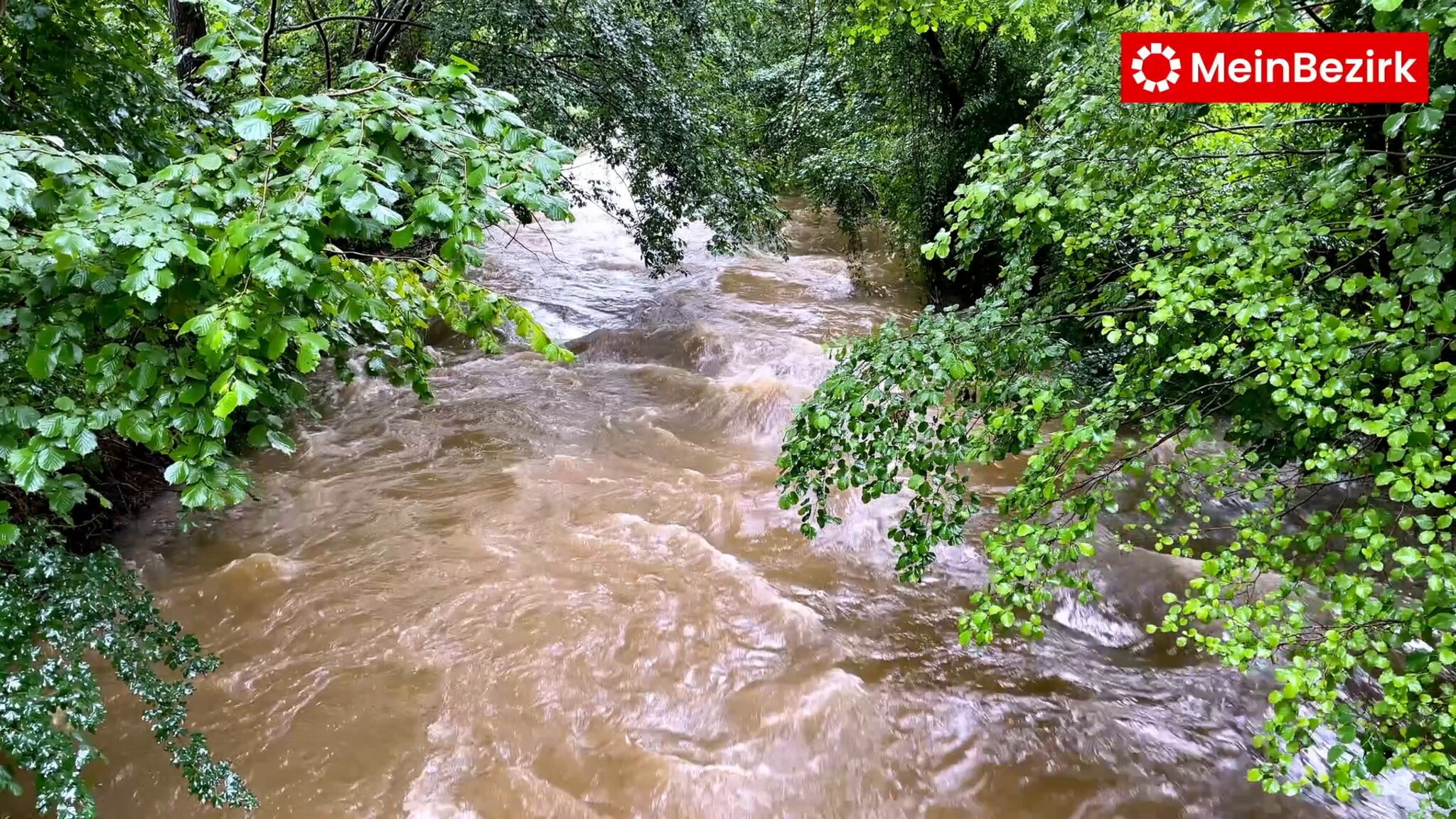 Tipps und Infos: So holen sich Steirer beim Steuerausgleich Geld zurück ...