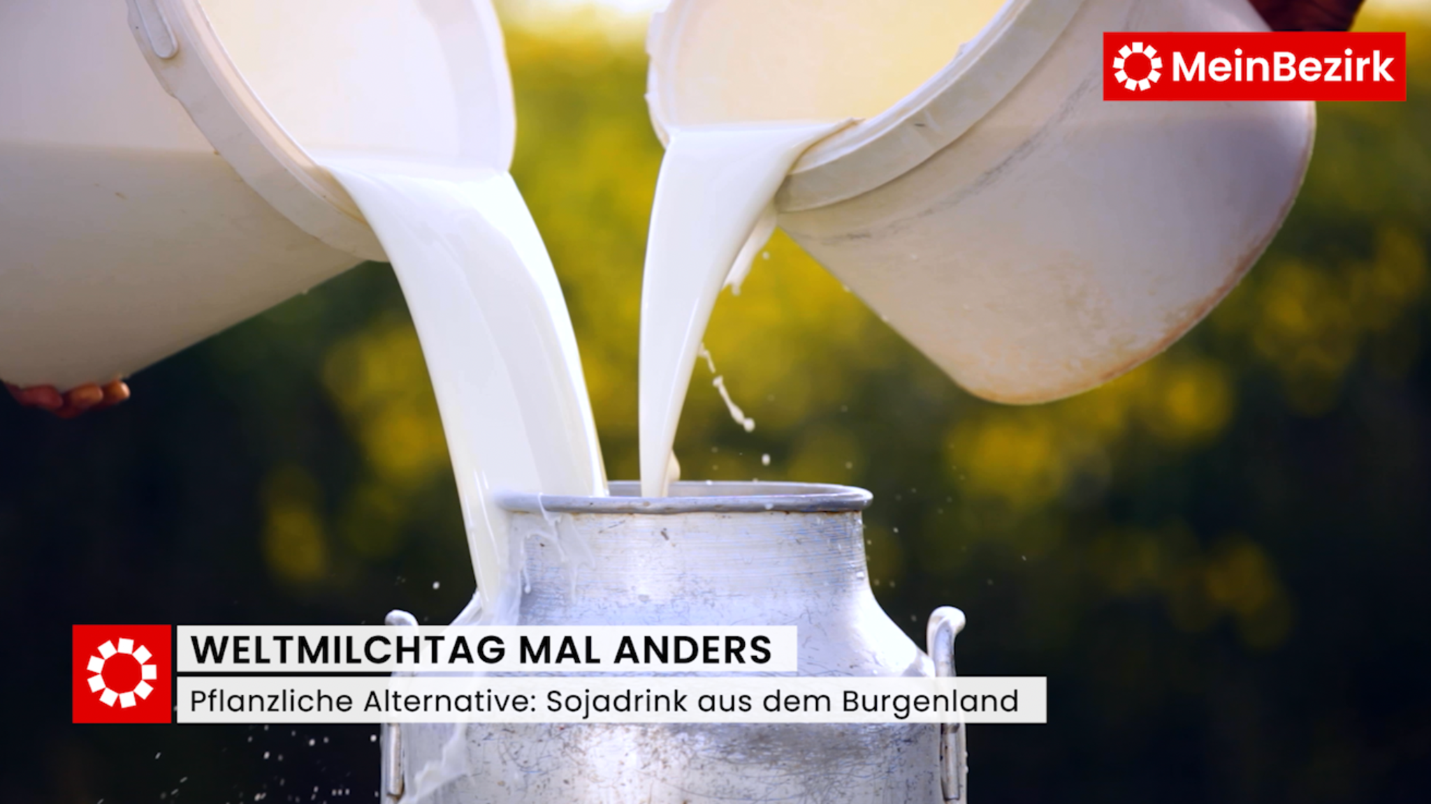 Weltmilchtag mal anders: Sojadrink selbst gemacht im Burgenland-Stil - Burgenland