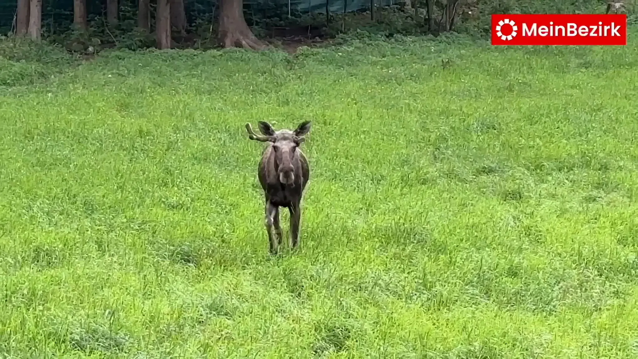 Alice rosenblum sextapes i had failed to catch that girl's