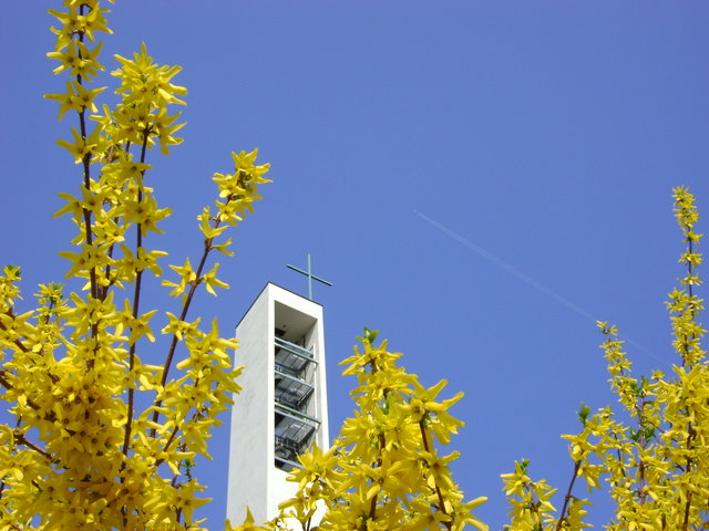 Tiersegnung in der Pfarre Linz - St. Peter - Linz