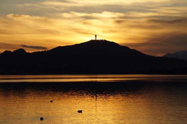 Daniela Rauch aus Südoststeiermark - MeinBezirk.at