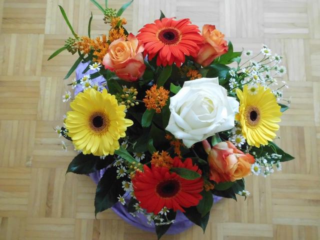 Dr. Eva Auer-Fillafer aus Klagenfurt - MeinBezirk.at