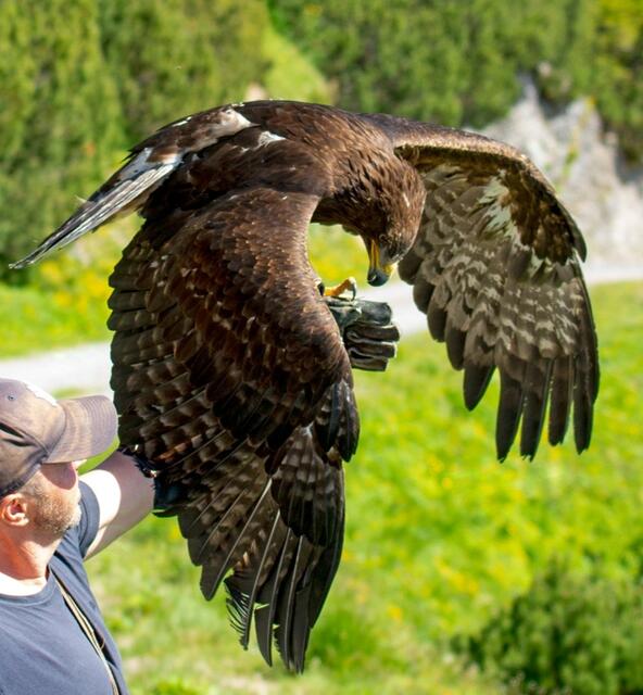 Jenelle evans leaks onlyfans as for Aries, I can't see a