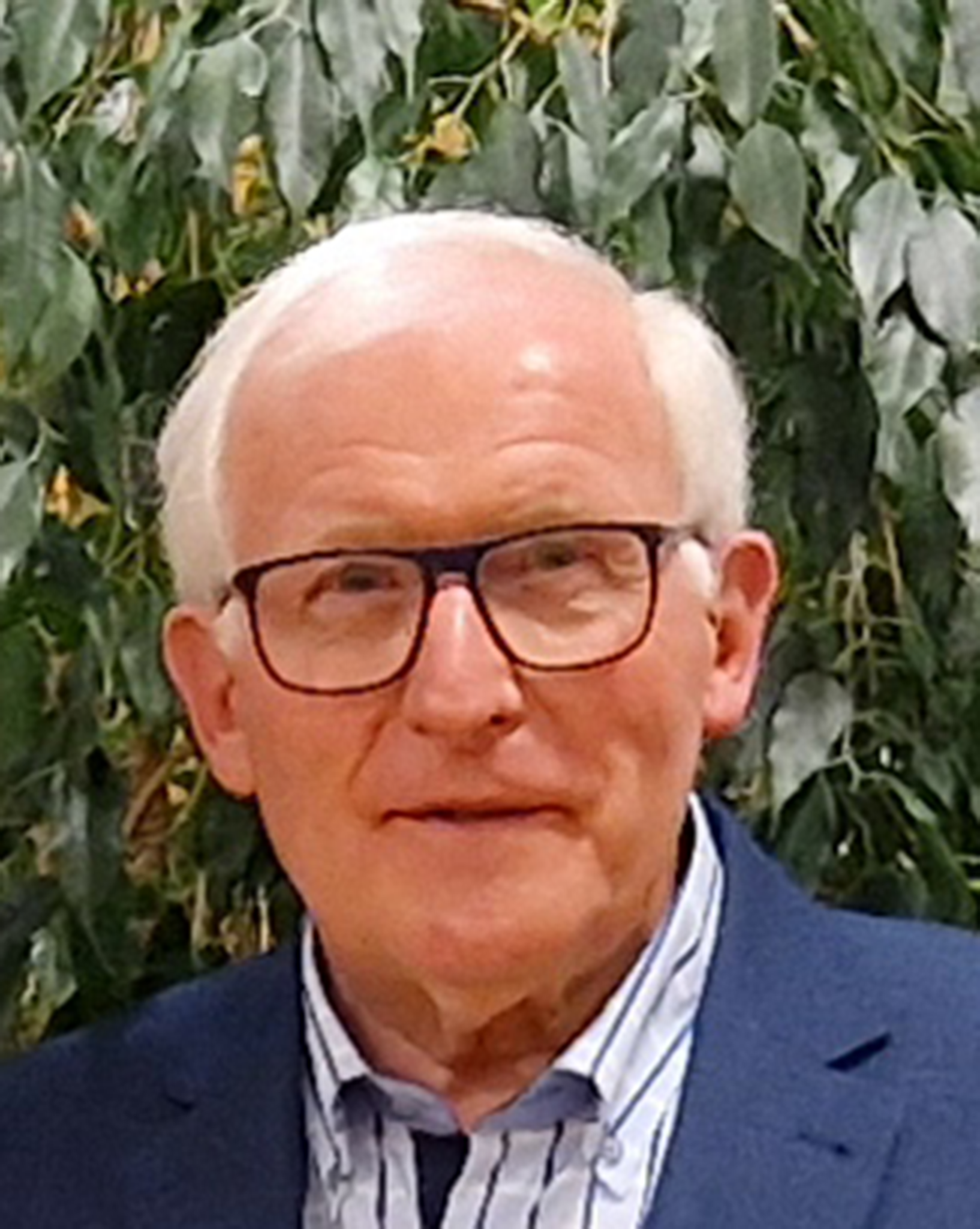 Franz Hauser aus Vöcklabruck - MeinBezirk.at